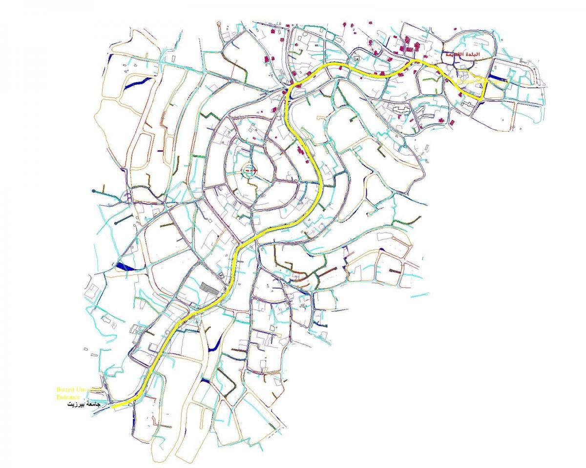 The Marathon's Map | Birzeit University