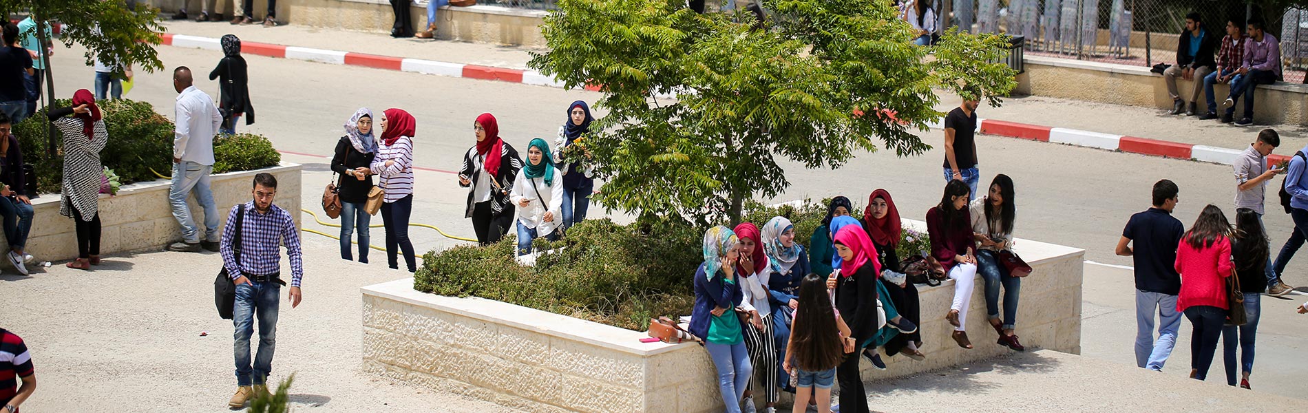 General Information | Birzeit University