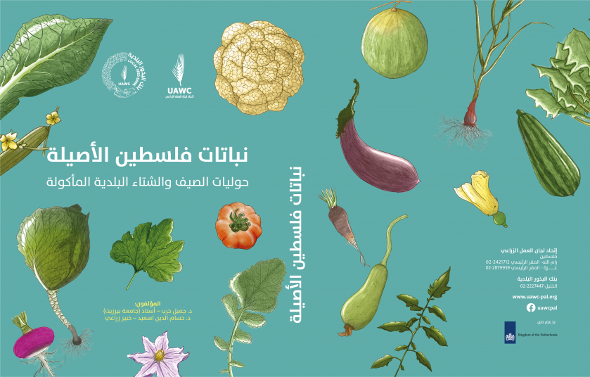 New book by professor of plant biology explores plants of Palestine ...
