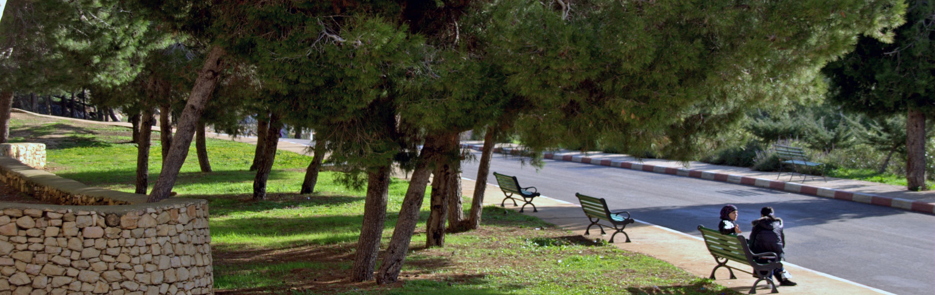 Green Campus | Birzeit University