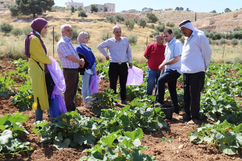 New book by professor of plant biology explores plants of Palestine ...